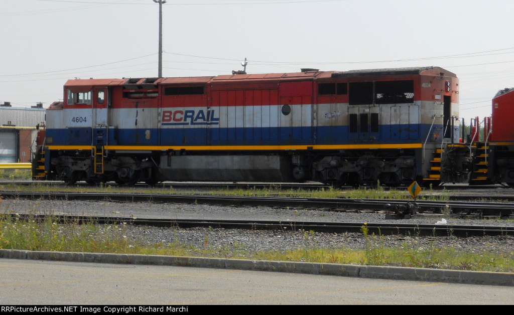 BCOL 4604